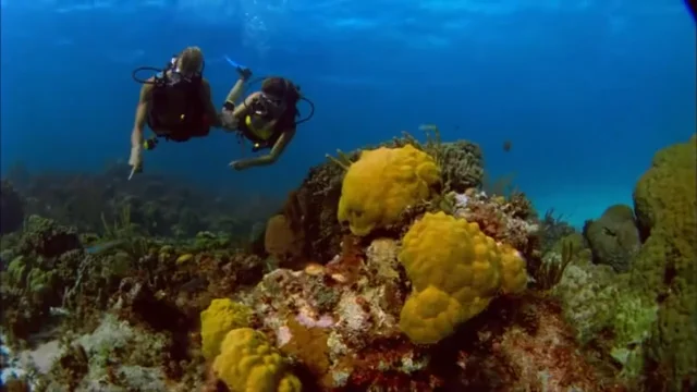 Scuba Diving Vid 1 on Vimeo