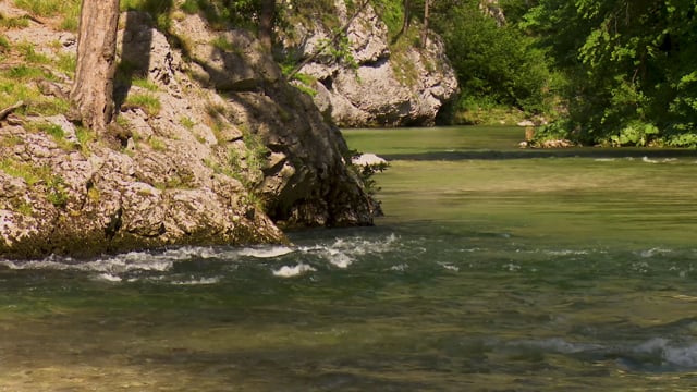 Water, Flow, Rock. Free Stock Video - Pixabay