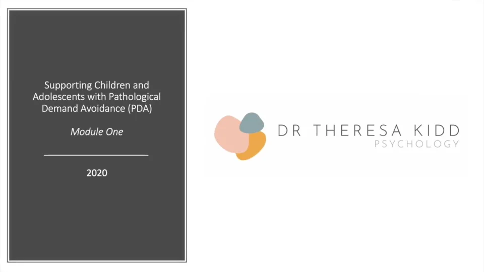 Watch Supporting Young People with PDA Online | Vimeo On Demand on Vimeo