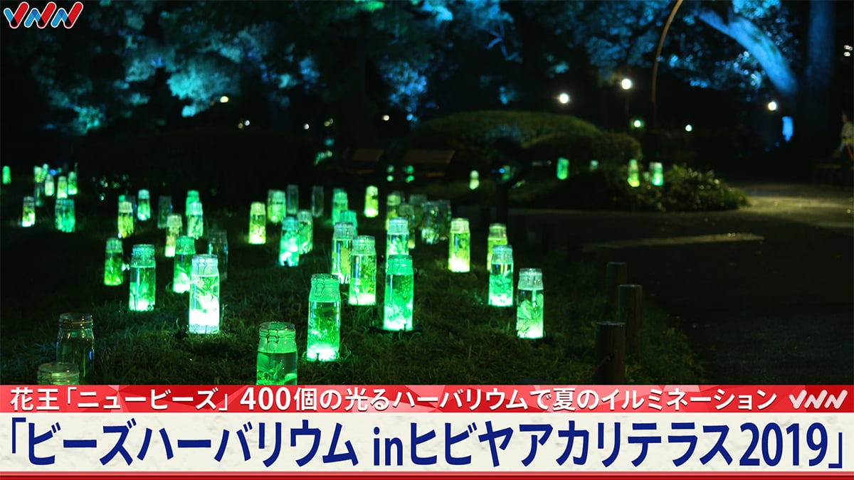 15_VNN_kao_kan_1200 on Vimeo