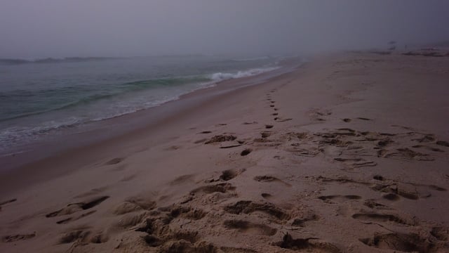 Foggy Ocean Beach Coastal - Free video on Pixabay