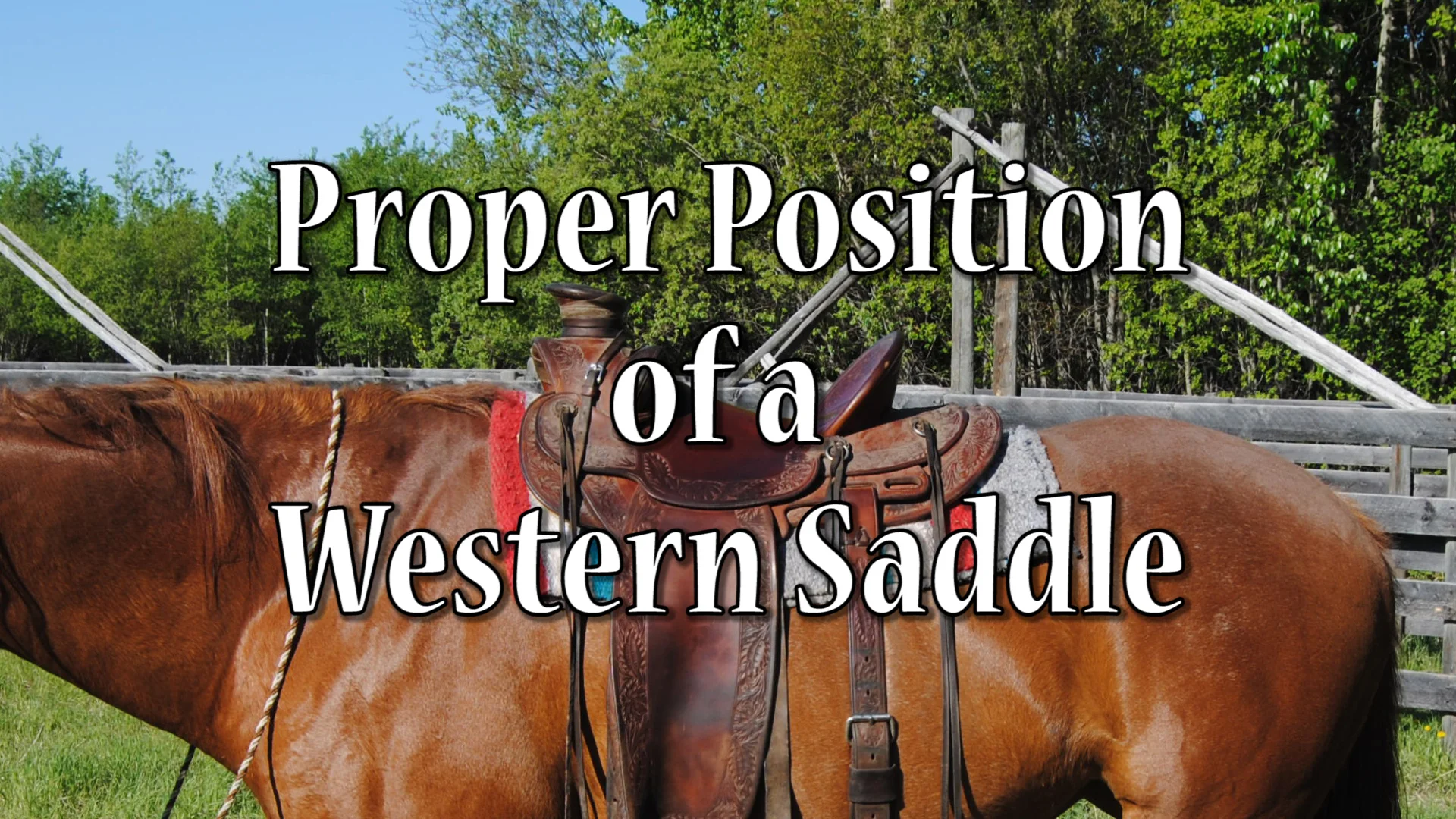 Proper Position of a Western Saddle