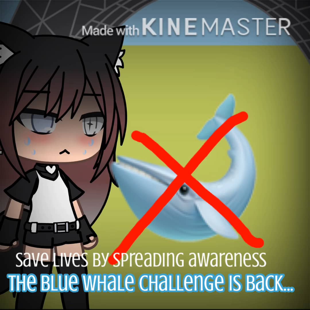 The blue whale challenge is BACK on Vimeo