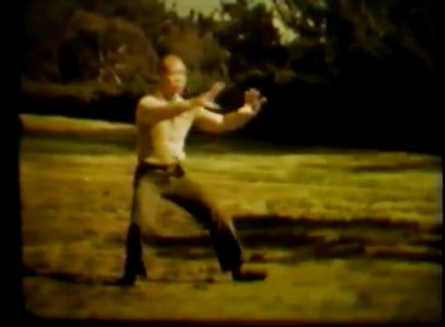 Master Fong Ha - on Yiquan on Vimeo