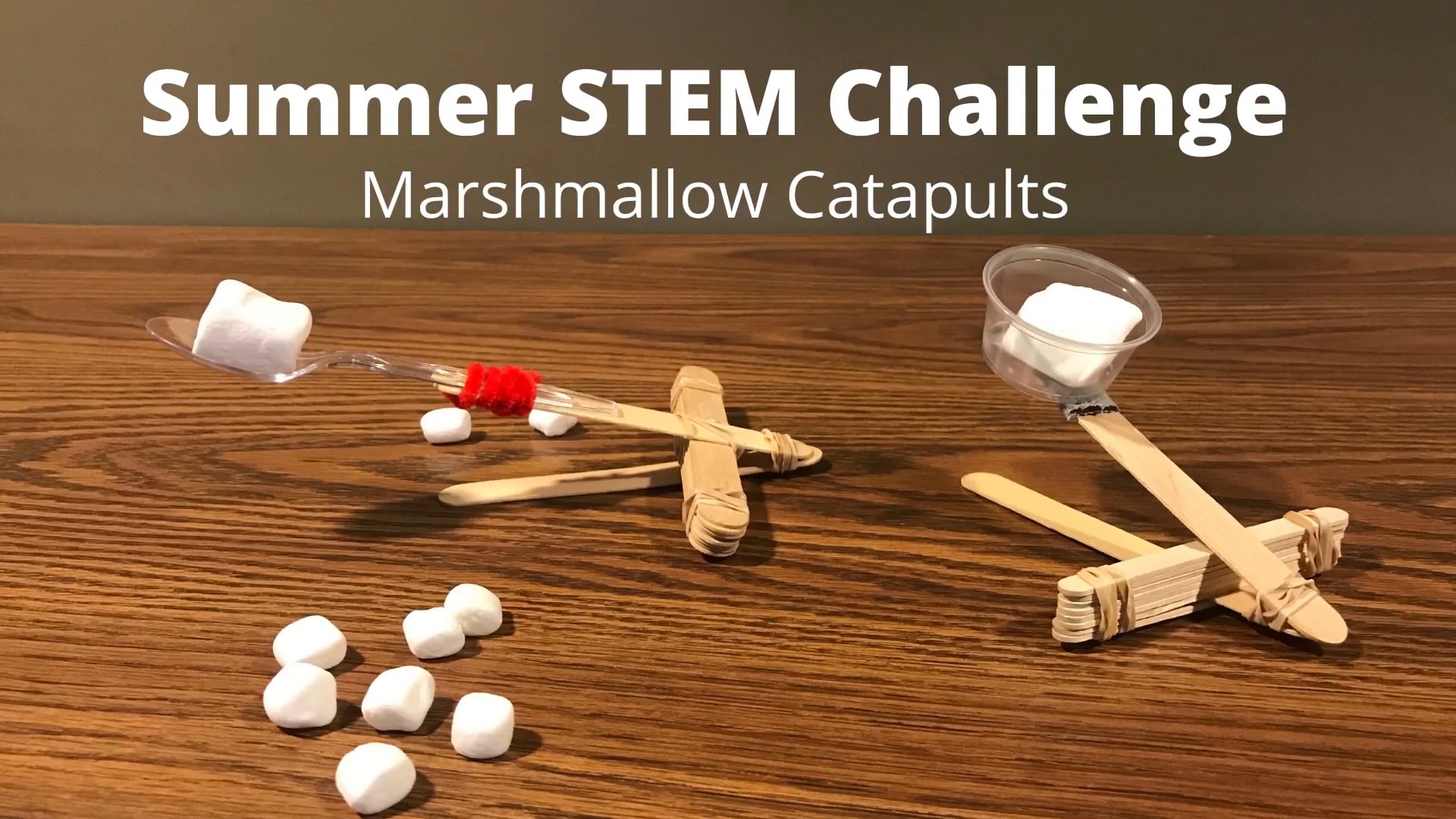 Summer STEM Challenge: Marshmallow Catapults