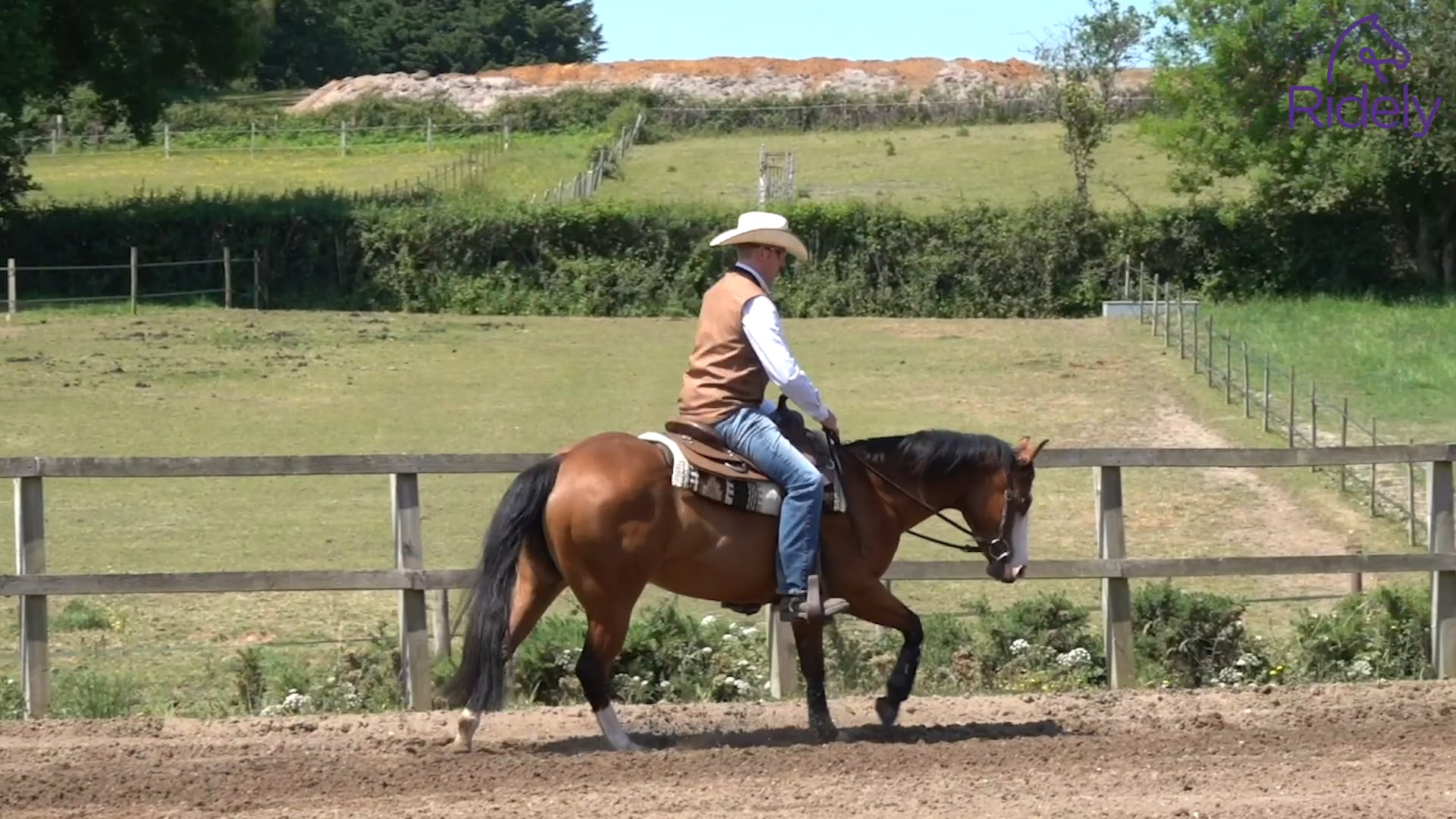 Teaching your horse to carry itself | Ridely