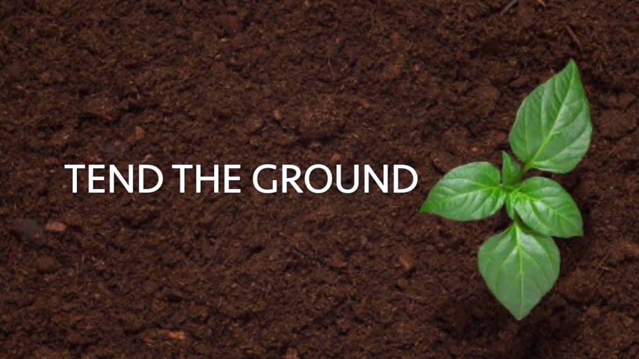 Tend the Ground on Vimeo