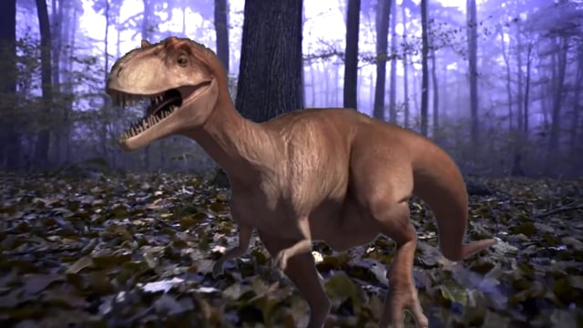 Dinosaur, Reptile, Extinct. Free Stock Video - Pixabay