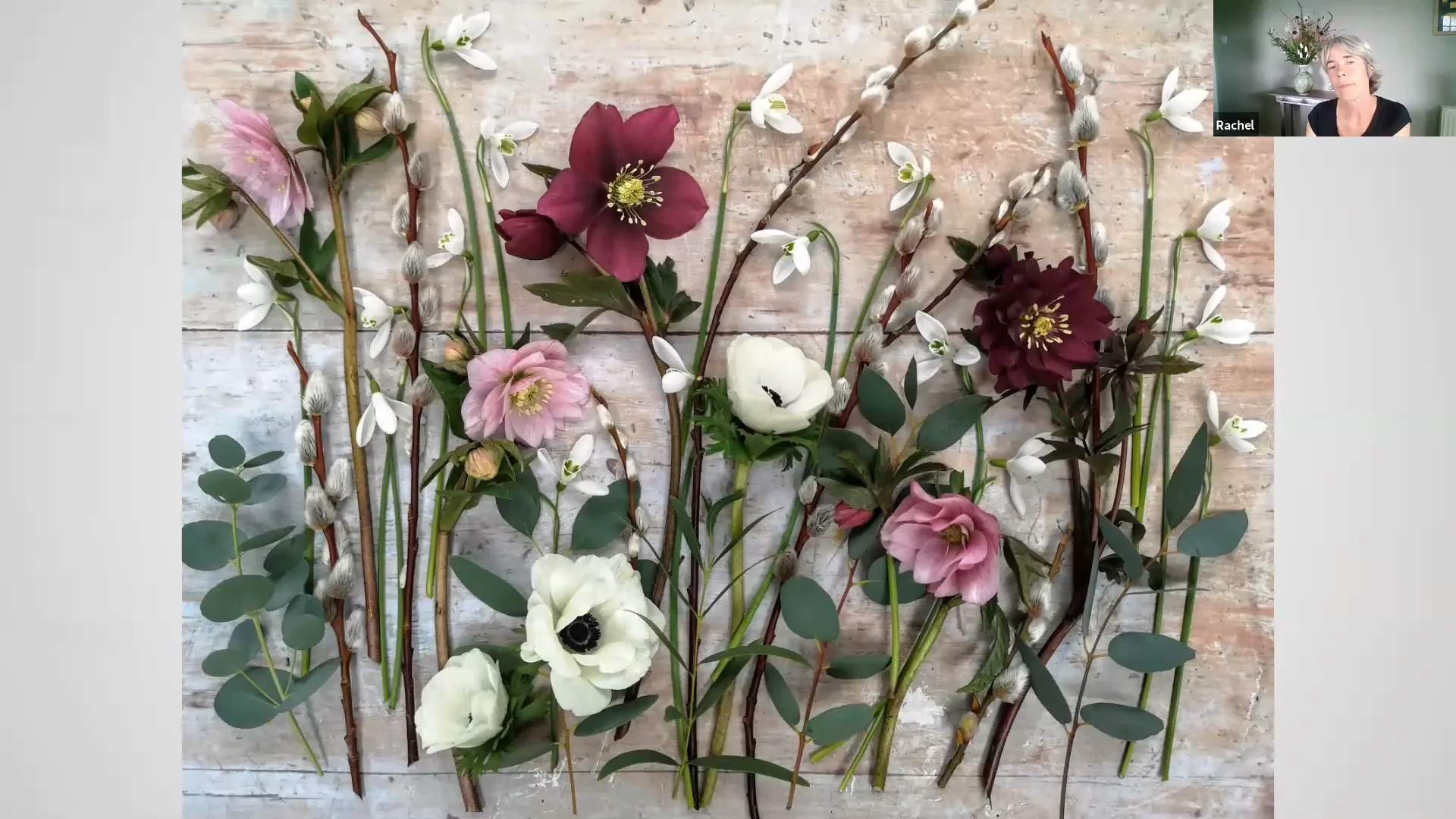 Watch Growing perennials for cut flowers - Rachel Siegfried Online ...