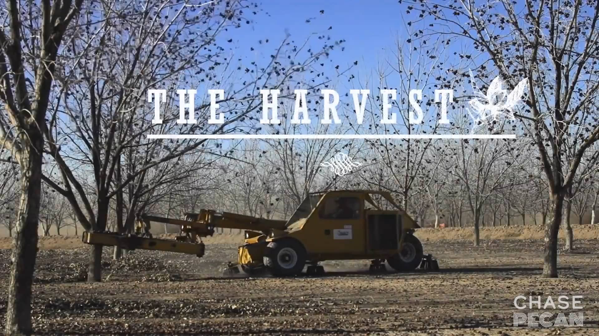 CHASE PECAN, LP. "We're Serious About Our Nuts!" on Vimeo