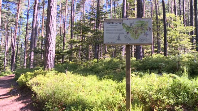 Le JT – 10 juillet 2020 | TLVA - 10 juillet 2020