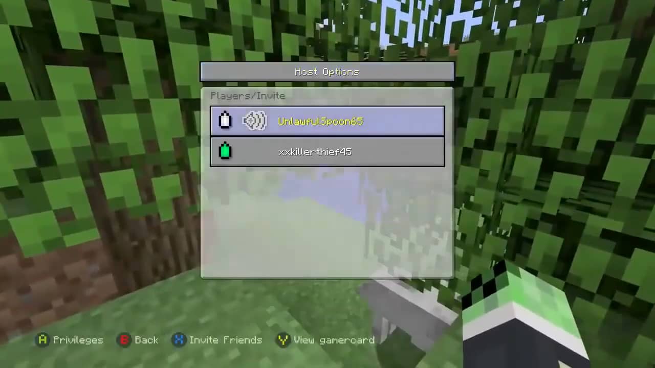 XboxAddictionz - TROLLING THE MOST RACIST KID ON MINECRAFT on Vimeo