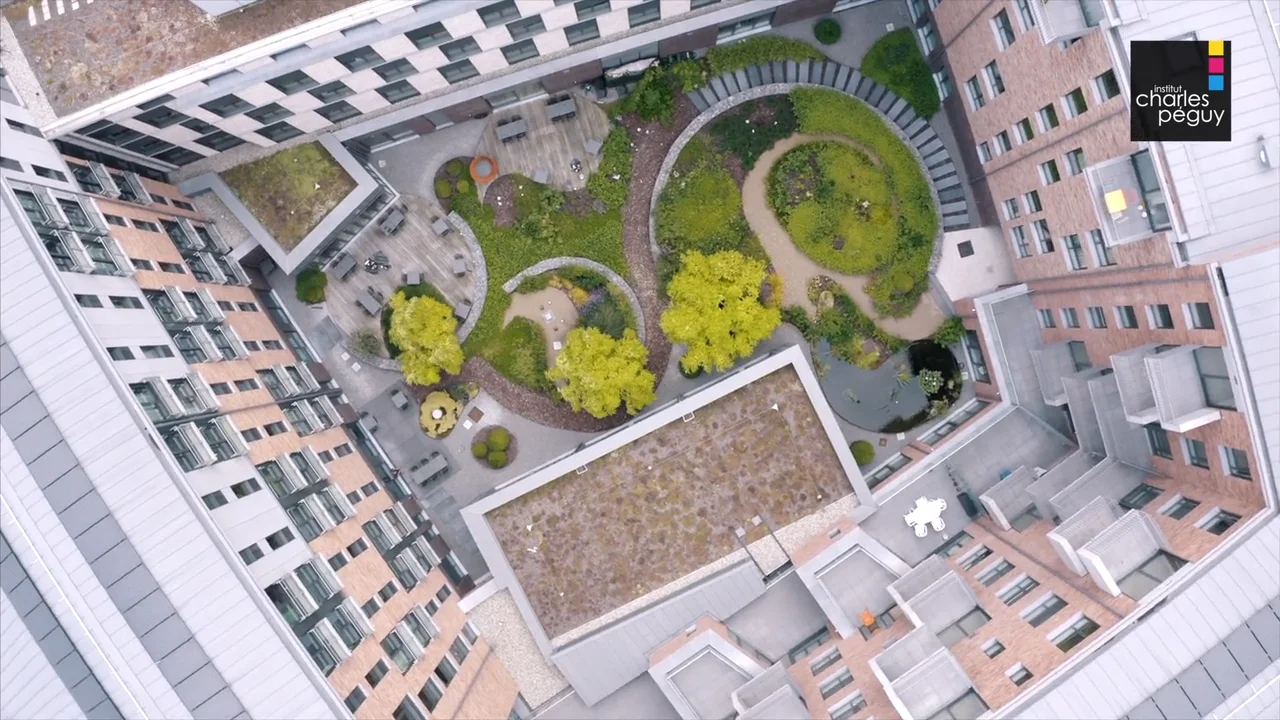 Proclamation 3m on Vimeo