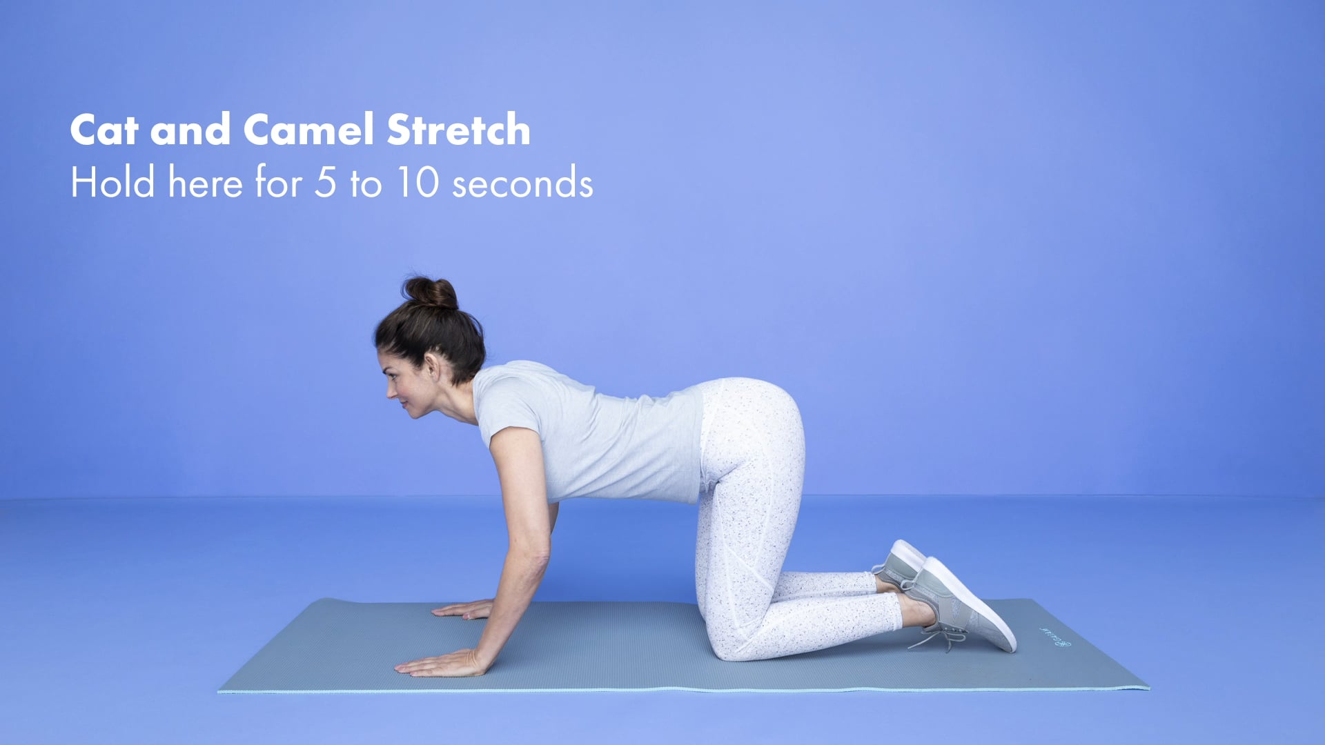 Cat and Camel Stretch on Vimeo