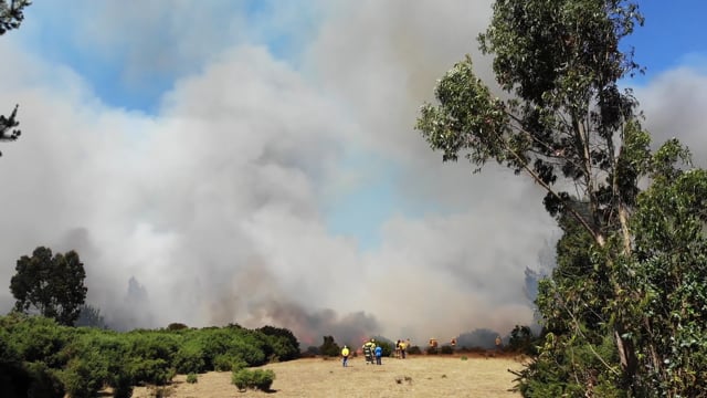 Forest Fire Videos: Download 86+ Free 4K & HD Stock Footage Clips - Pixabay