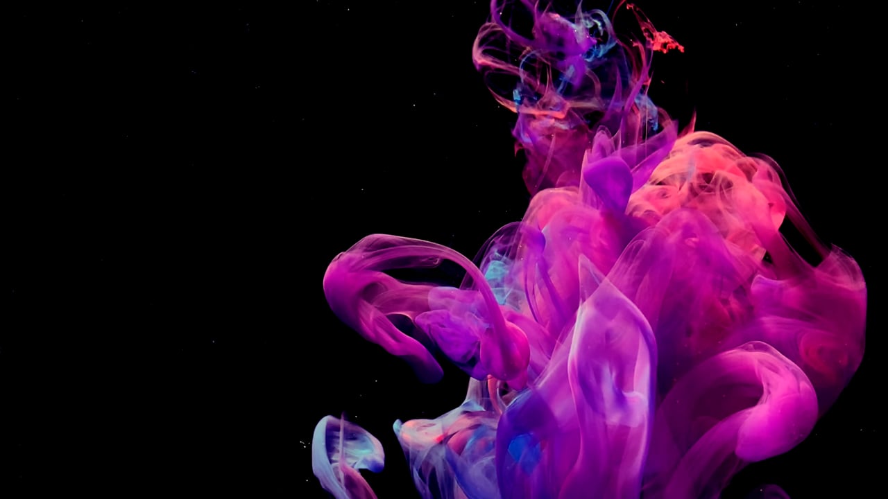 Sodinal - Енология и винопроизводство