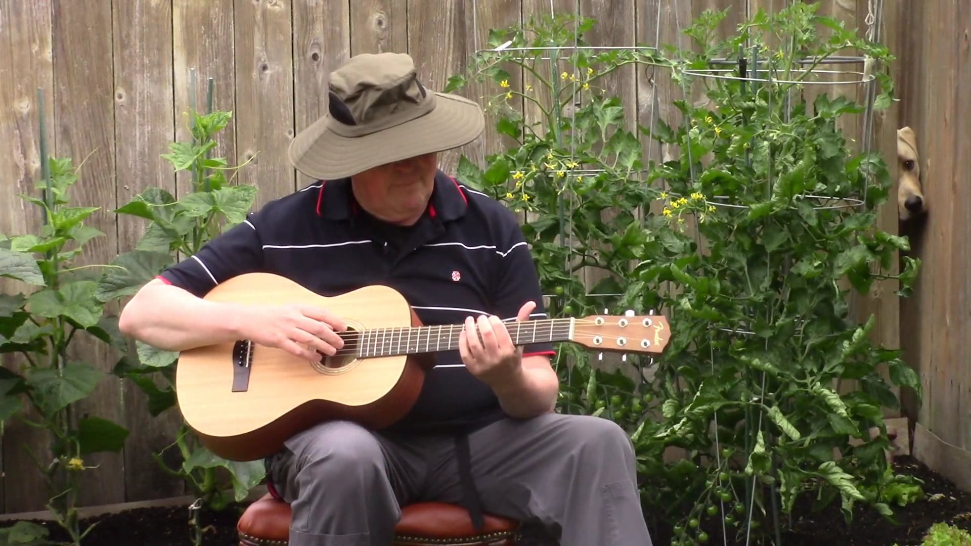 Andy Herman 071520 on Vimeo