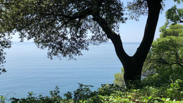 Italy Trieste Sea - Free video on Pixabay