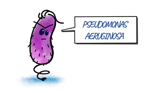 Pseudomonas Bacteria