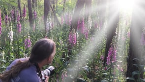 Watch Flower Art Photography Masterclass Online | Vimeo On Demand on Vimeo