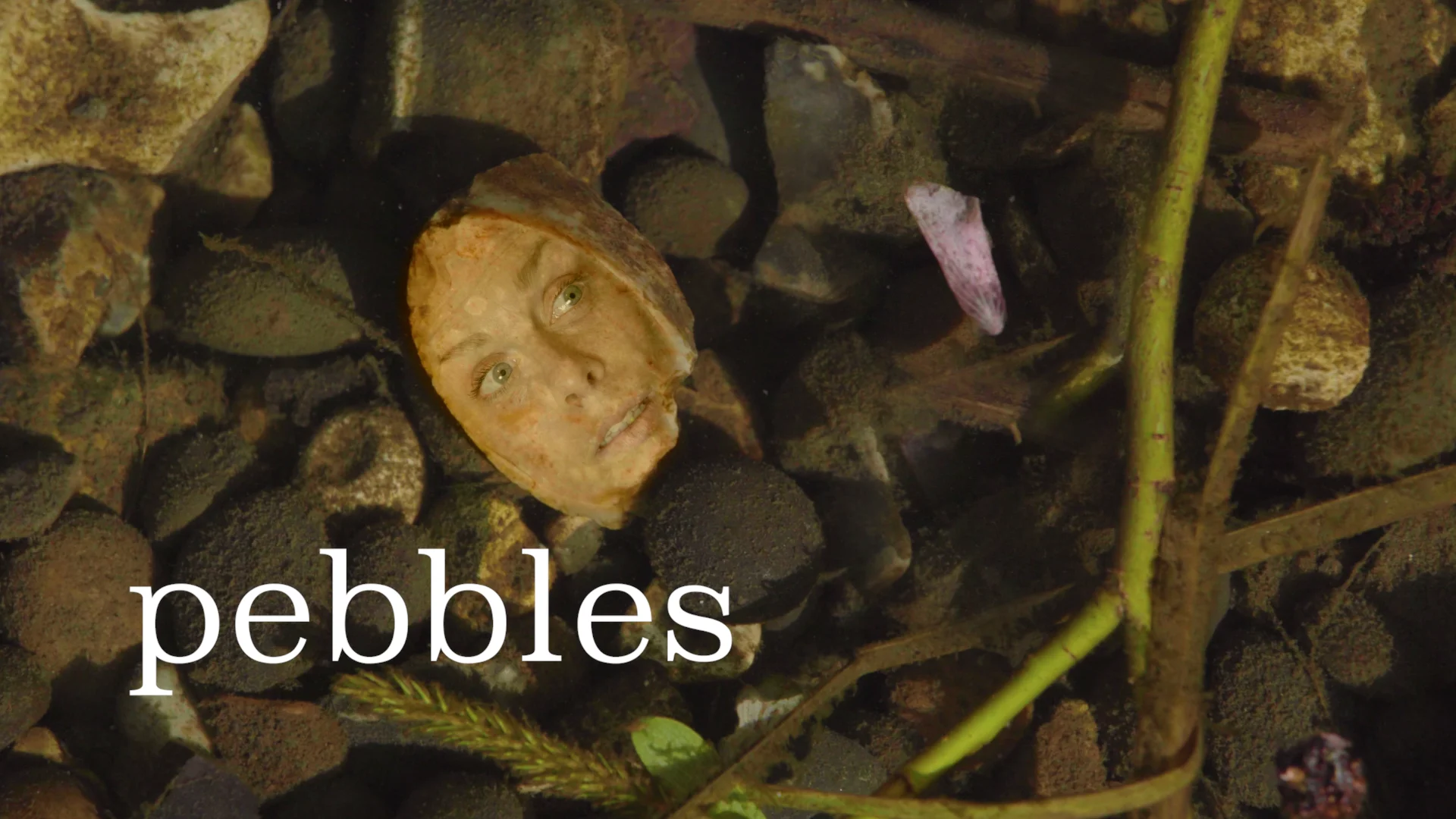Pebbles on Vimeo