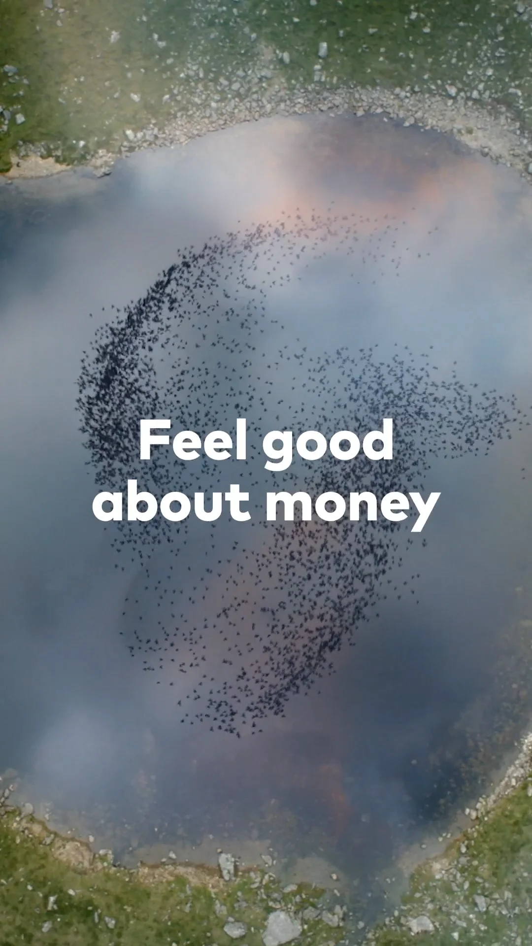 Starling Bank - Social Media Ads in Different Formats - Personal and ...