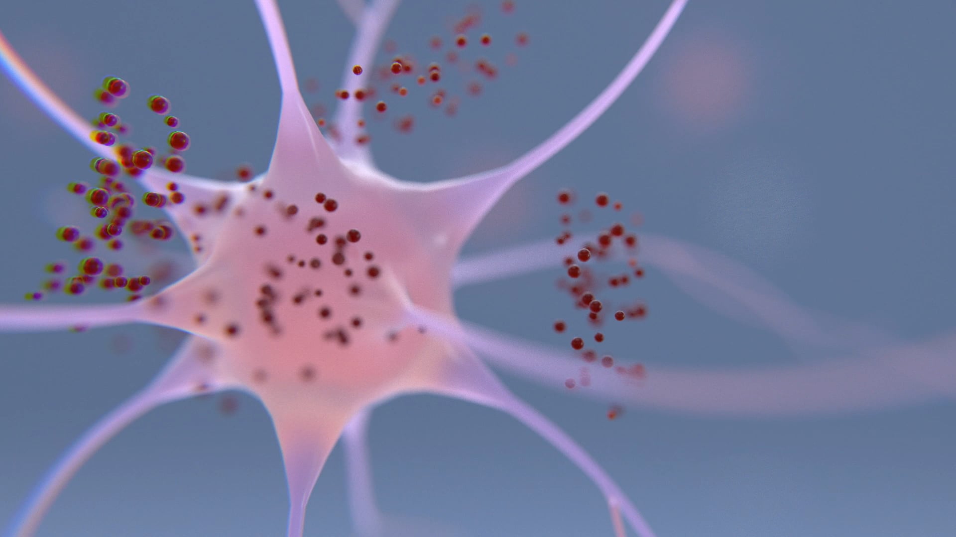 Amyloid build up on Vimeo