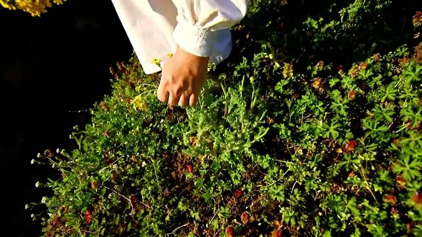 Adrian Marius Bodea - Dragoste Curata on Vimeo