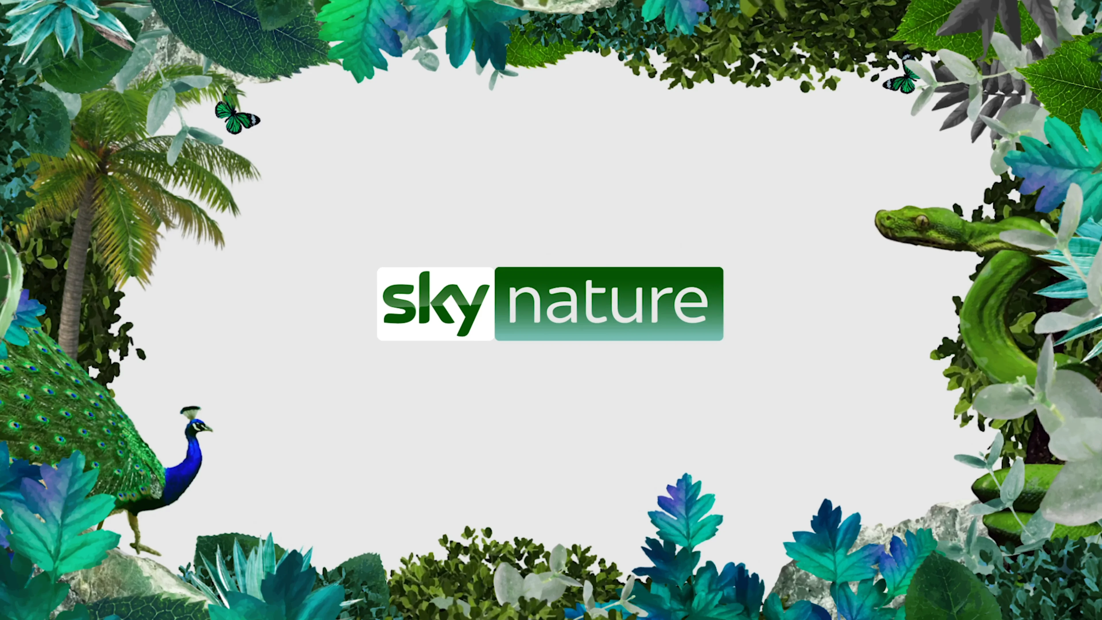 Sky Nature Channel Ident on Vimeo