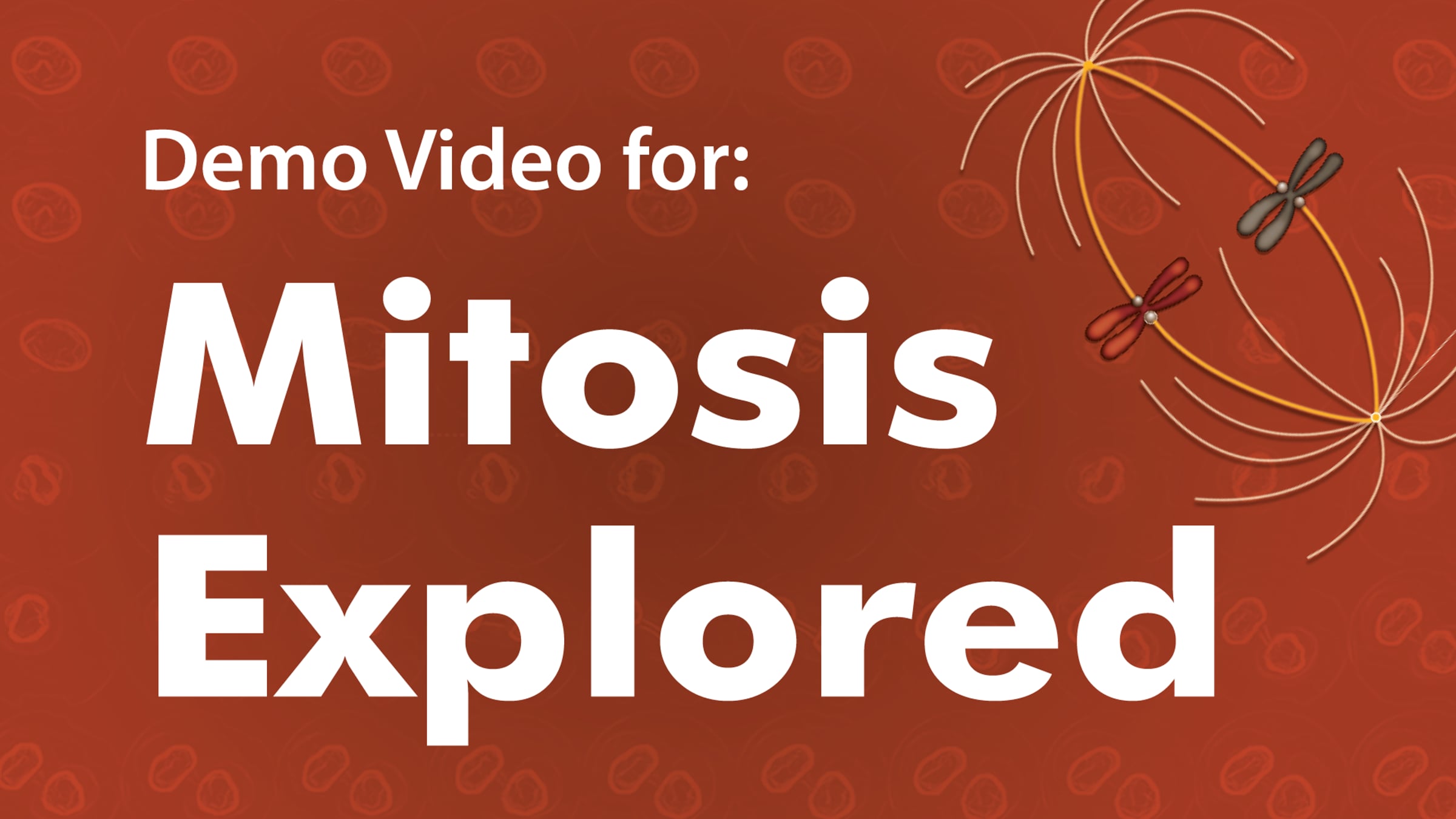 Demo Video: Mitosis Explored