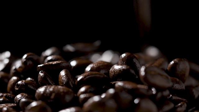 Coffee Seed Videos: Download 5+ Free 4K & HD Stock Footage Clips - Pixabay