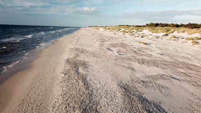 Seaside, Beach, Wild. Free Stock Video - Pixabay