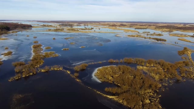 Rio Azul Primavera - Free video on Pixabay - Pixabay