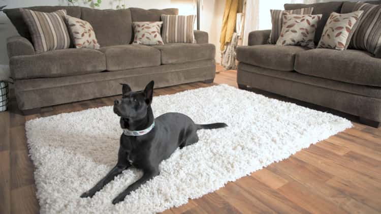 Bobs Miranda Living Room Set | Cabinets Matttroy