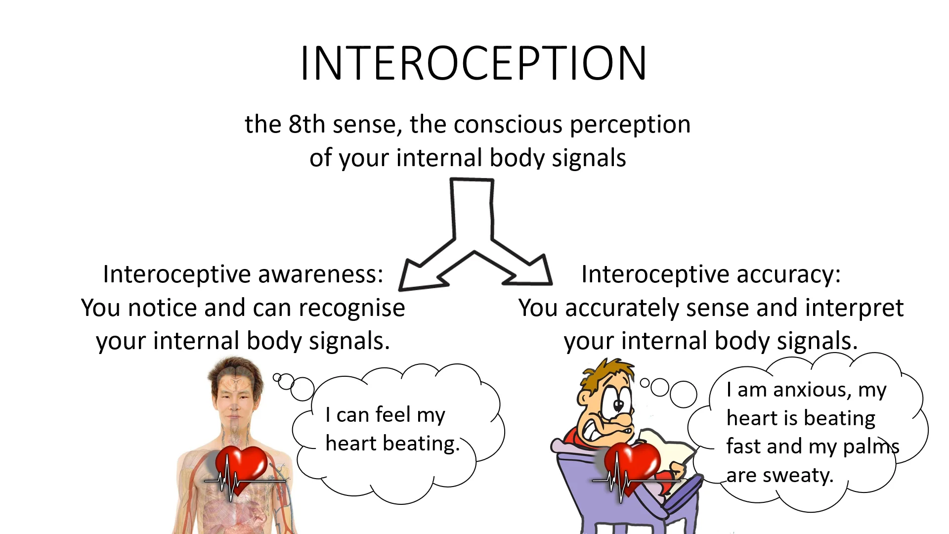 Interoception Explainer
