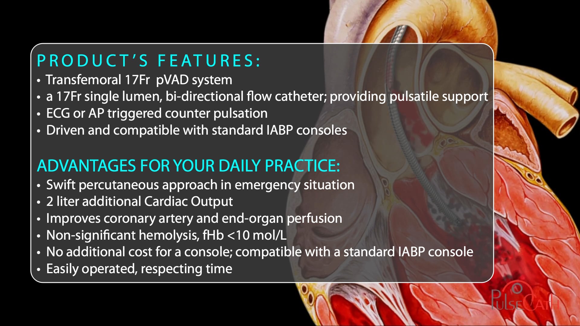 iVAC_2L_PulseCath on Vimeo