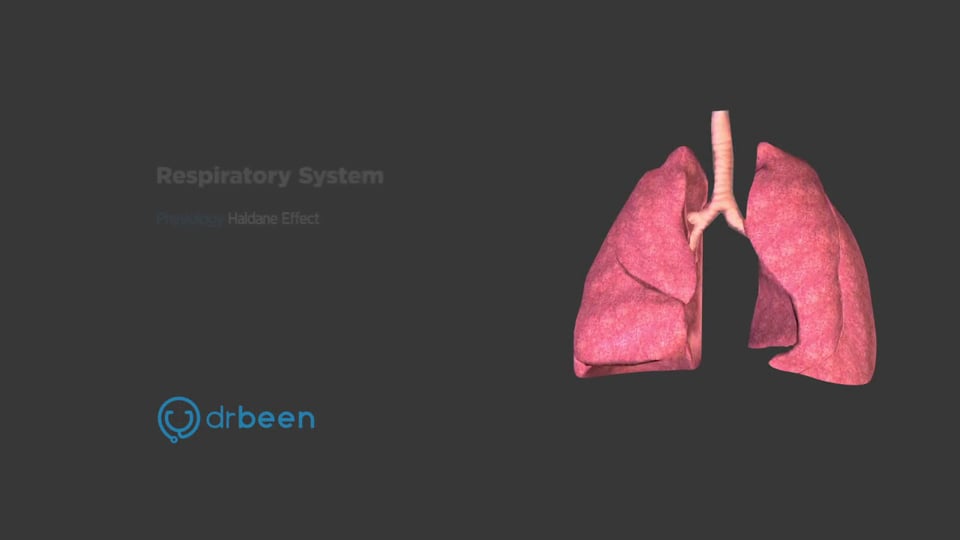 Fundamentals of Chest X-Ray Interpretation | DrBeen Fundamentals of Chest X-Ray Interpretation | DrBeen