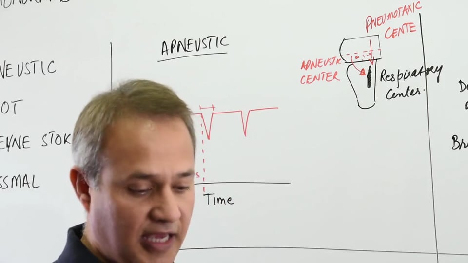 Abnormal Pulmonary Breathing Patterns | DrBeen