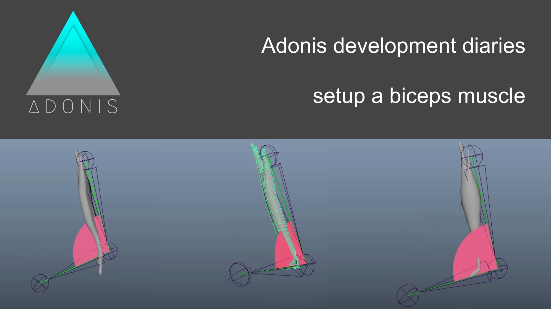 Adonis development diaries: setup a biceps muscle