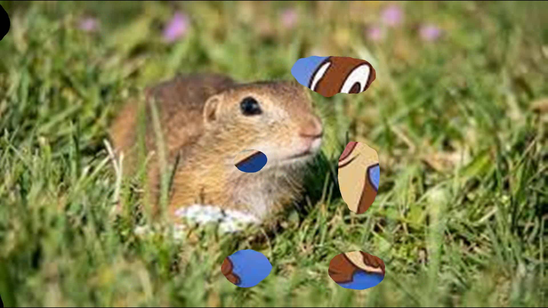 The Gopher Song by Dennis Oster...Torrington Gopher Hole Museum! on Vimeo