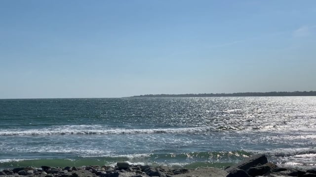 Lake, Spring, Water. Free Stock Video - Pixabay