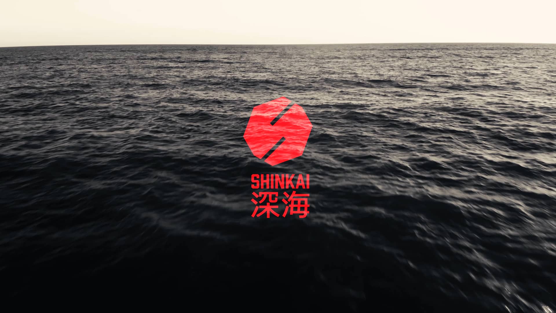 SHINKAI Logo Reveal on Vimeo
