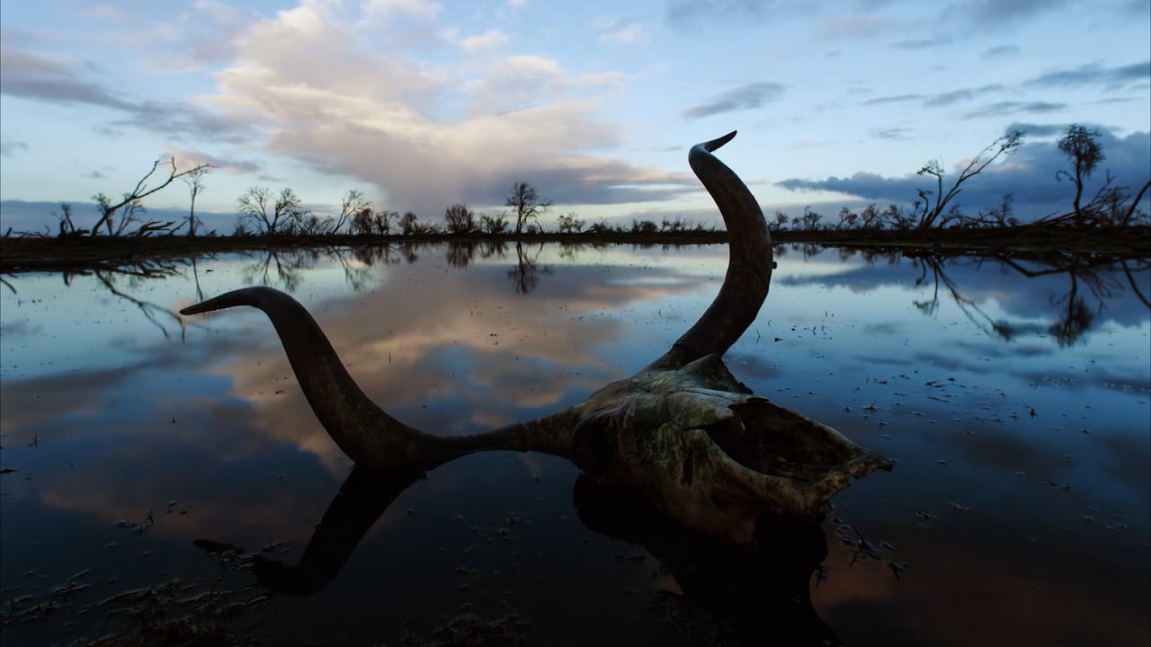 A World Without Time on Vimeo