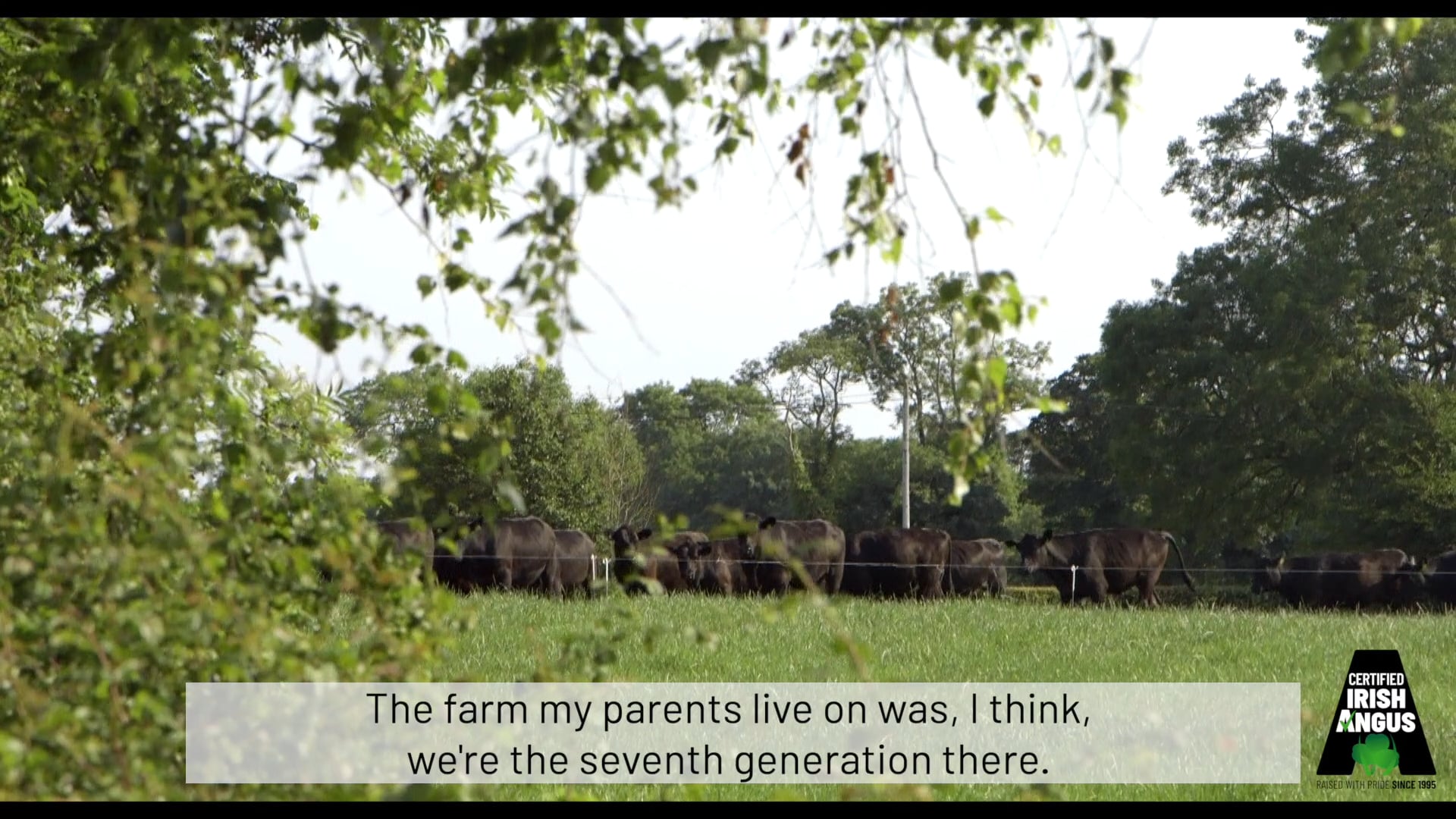 Ben Frazer, Certified Irish Angus Farmer