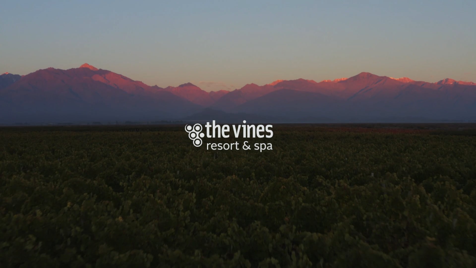 The Vines Resort & Spa - 2019