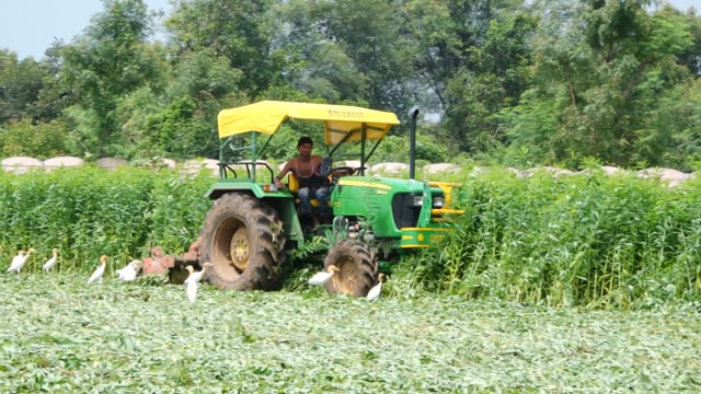 Paddy Tractor Plantation Free Stock Video - Pixabay