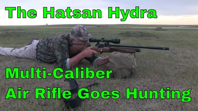 What Is The Best Rifle For Prairie Dog Hunting