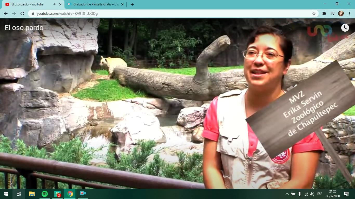 Videos oso on Vimeo