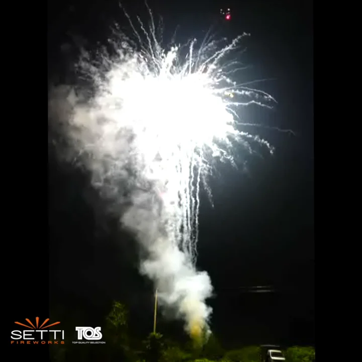 SF TQS 23B King Francis on Vimeo