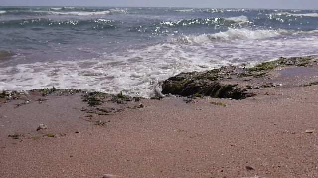 Wild Beach Sea - Free video on Pixabay